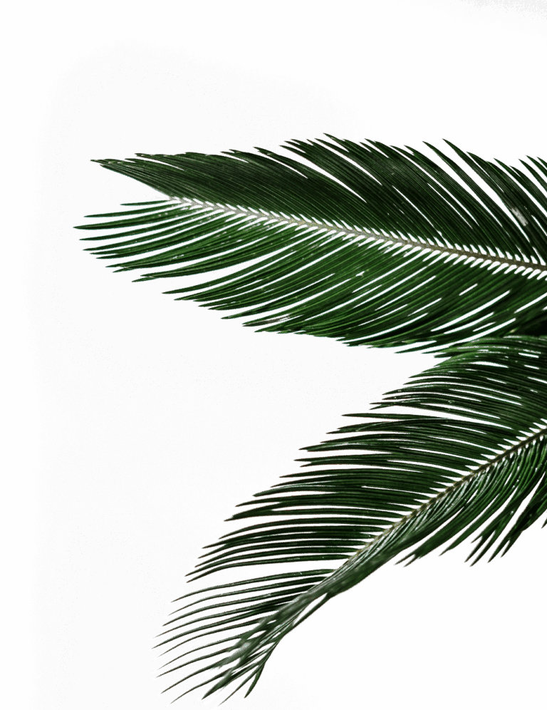 Plan Your Visit | Ponderosa Zoo